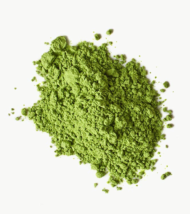 Parsley Powder - Tessa Adriano